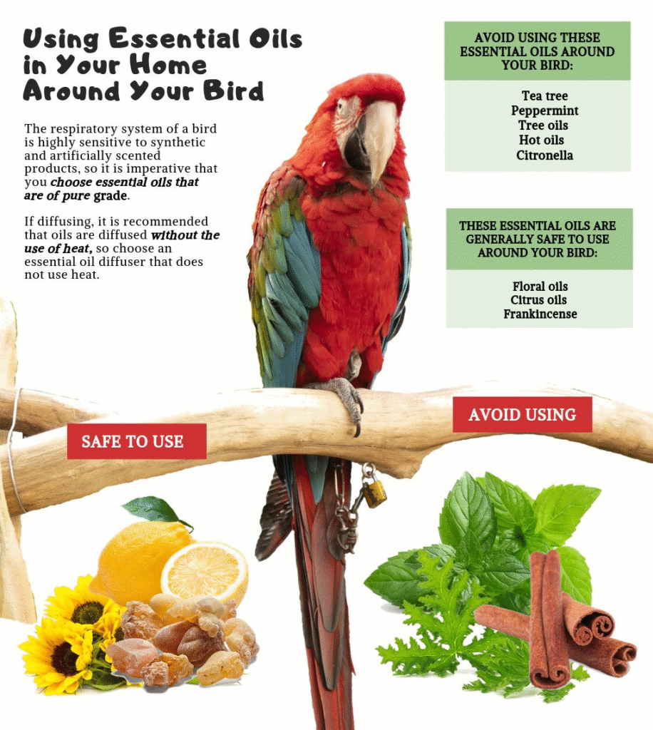 Essential Oils and Birds: Safety Guide for Owners